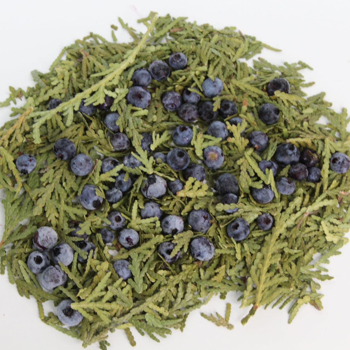 Blueberry & Cedar Tea – thewildbasket